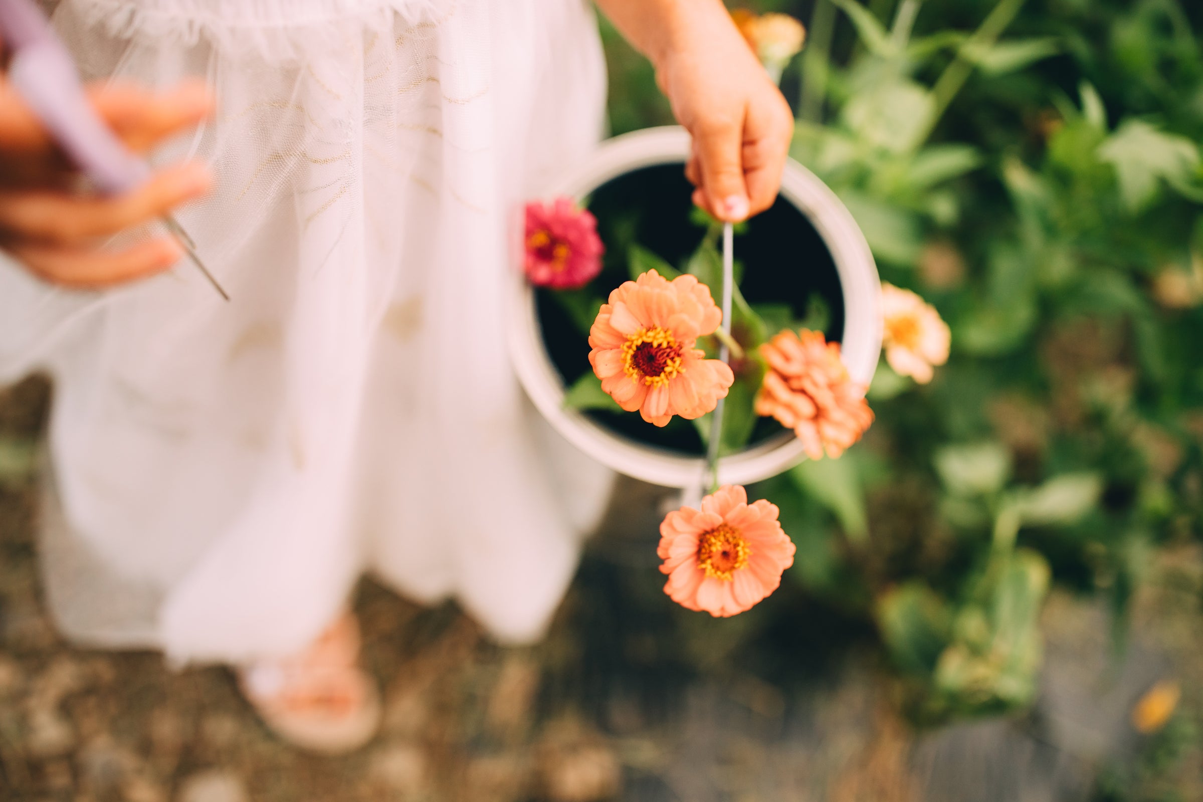Guidelines | Hudson Wildflower Co.